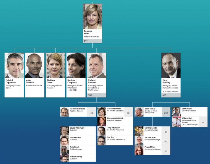 SAP HCM/H4S4 - HCM ADVICE