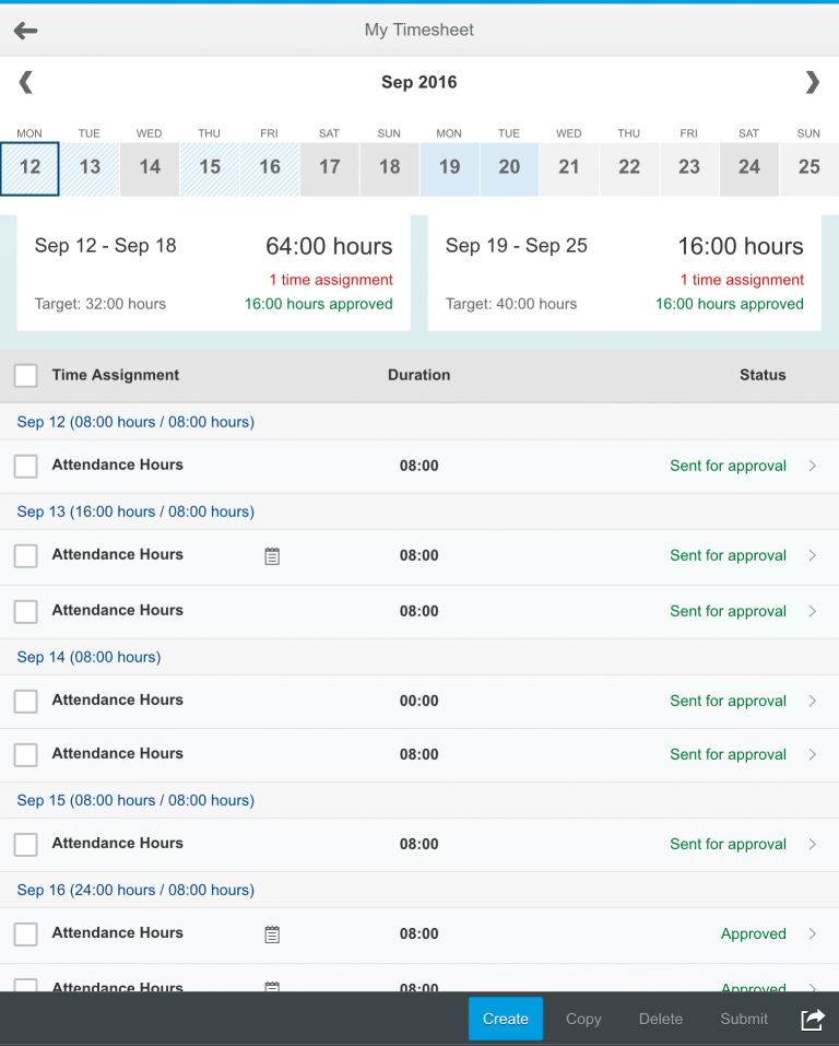 CATS TIMESHEET - HCM ADVICE